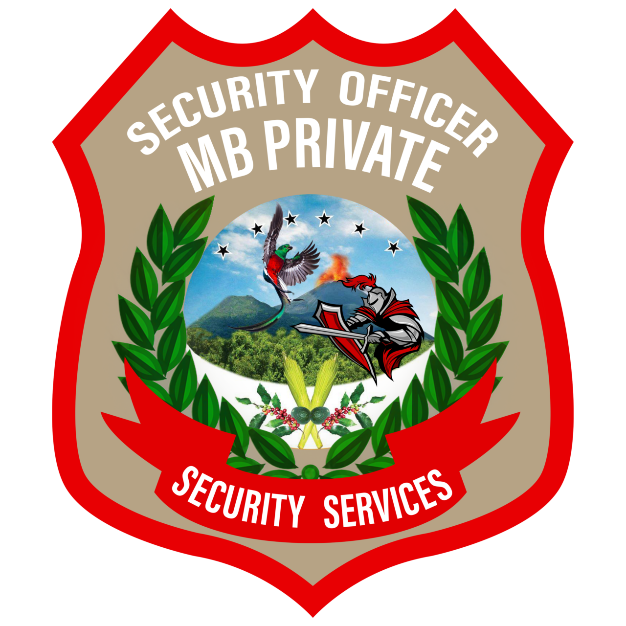 Welcome - MB Private Security Service